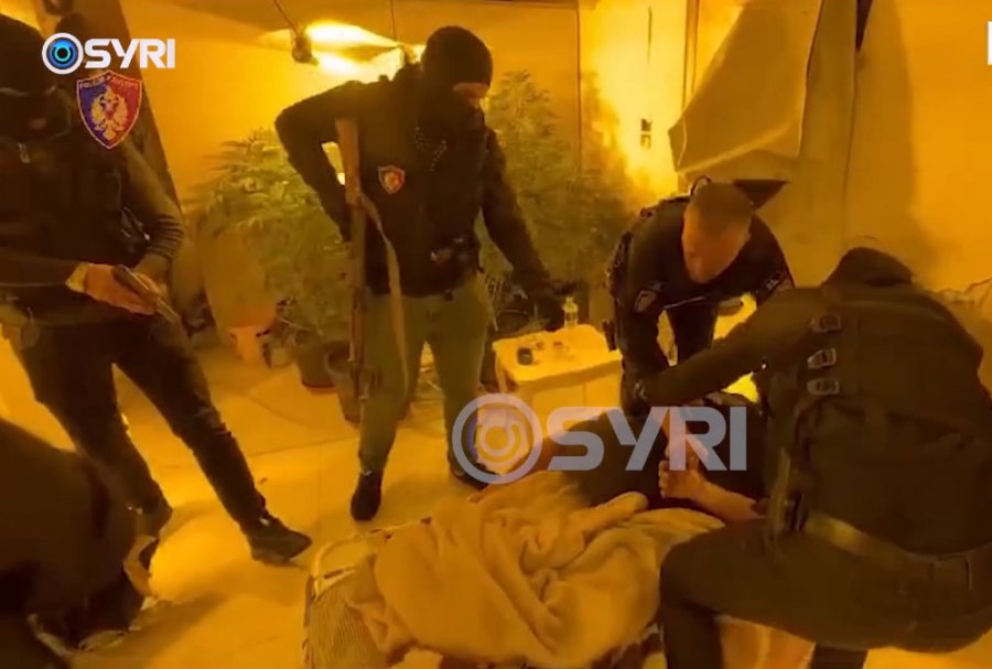 SYRI TV/ Shqipëria plot me kanabis, zbulohet një - Syri | Lajmi i fundit