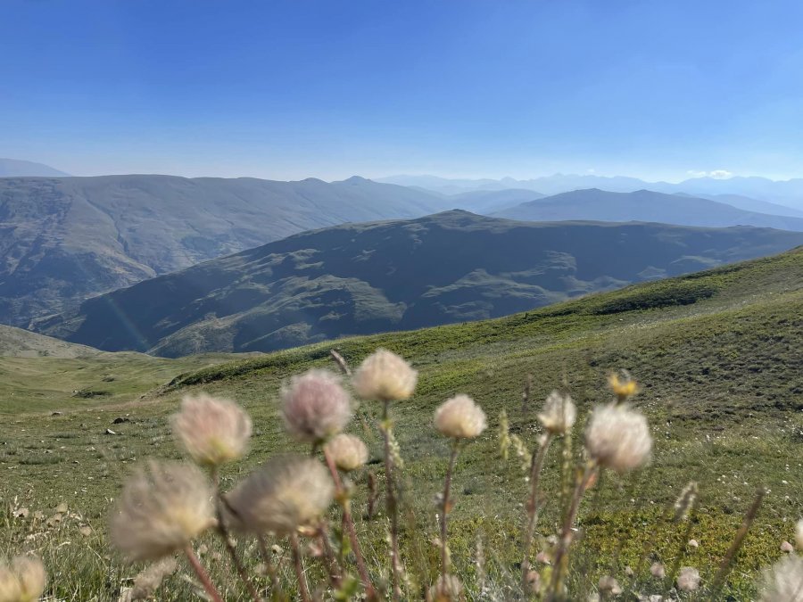 Parashikimi i motit në fundjavë sipas SHMU - Syri | Lajmi i fundit