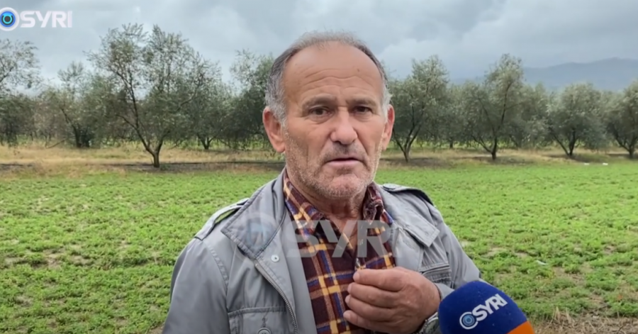 SYRI TV/ Fermerëve në peqin u mbetet vaji pa shi - Syri | Lajmi i fundit
